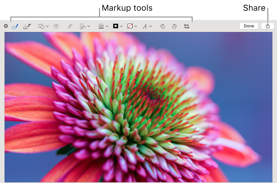 Mark Up Files On Mac Apple Support