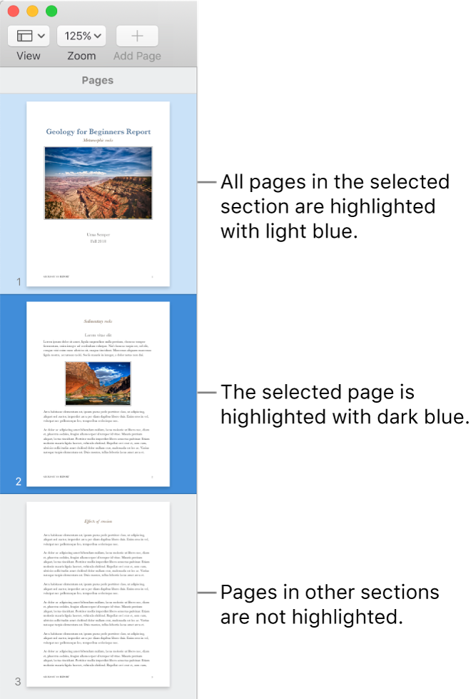 How To Remove Section Breaks In Ms Word On 2007 Stepmas