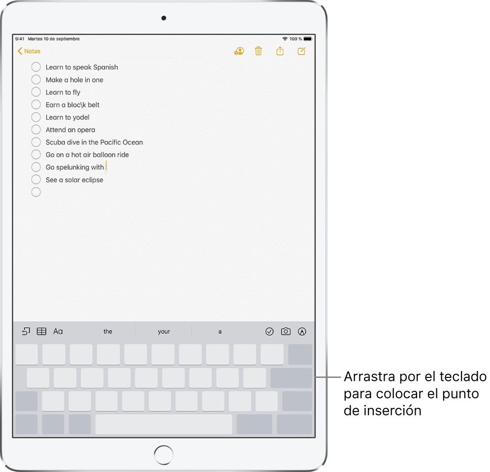 Escribir y editar texto en el iPad - Soporte técnico de Apple