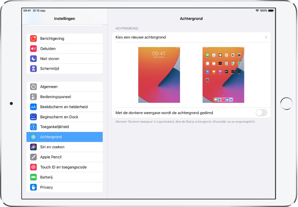 De achtergrond wijzigen op de iPad - Apple Support