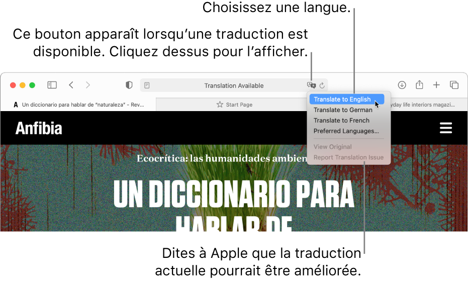 Traduire une page web dans Safari sur Mac (version bêta) - Assistance Apple