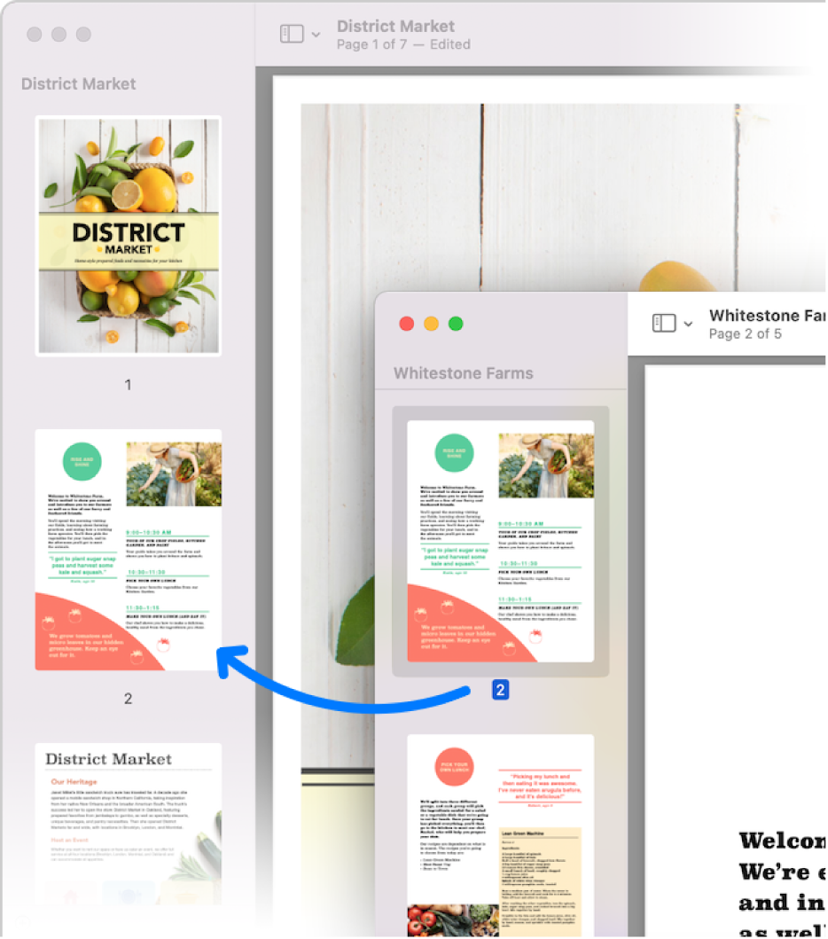 Mac Combine Pdf Only Showing One Page Olpordeals