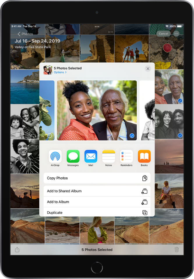 Share photos and videos on iPad - Apple Support