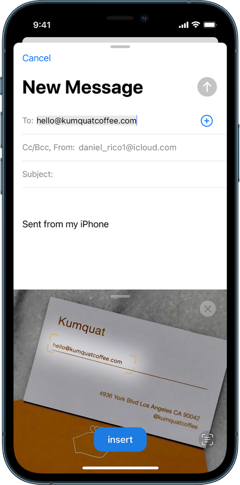 Send email in Mail on iPhone – Apple Support (UK)