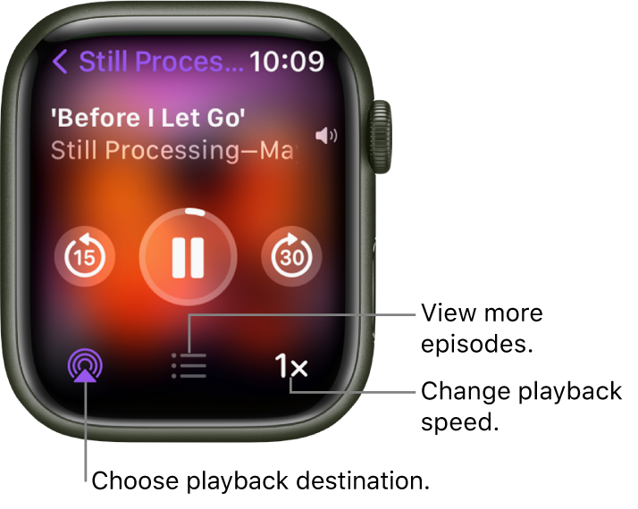 Play podcasts on Apple Watch - Apple Support