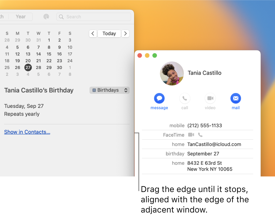 Manage app windows on Mac - Apple Support (IN)