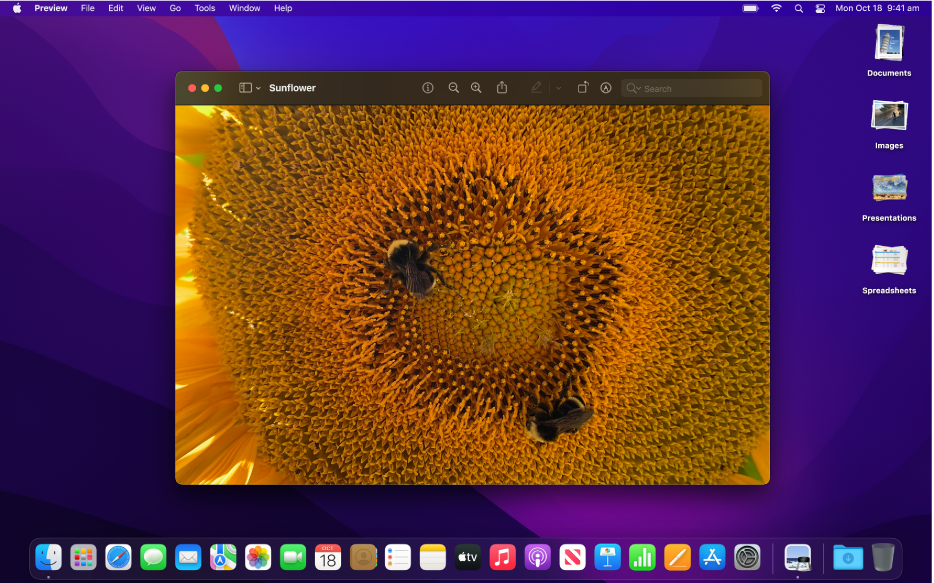 Get to know the Mac desktop – Apple Support (AU)