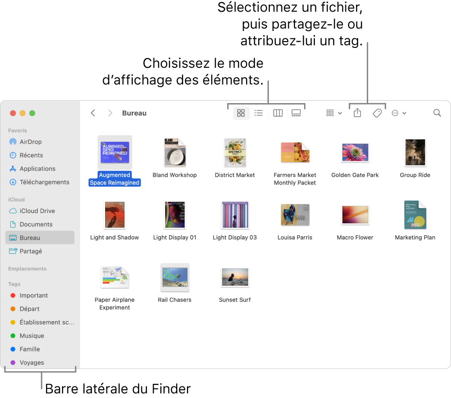 Organiser les fichiers dans le Finder sur Mac - Assistance Apple (FR)