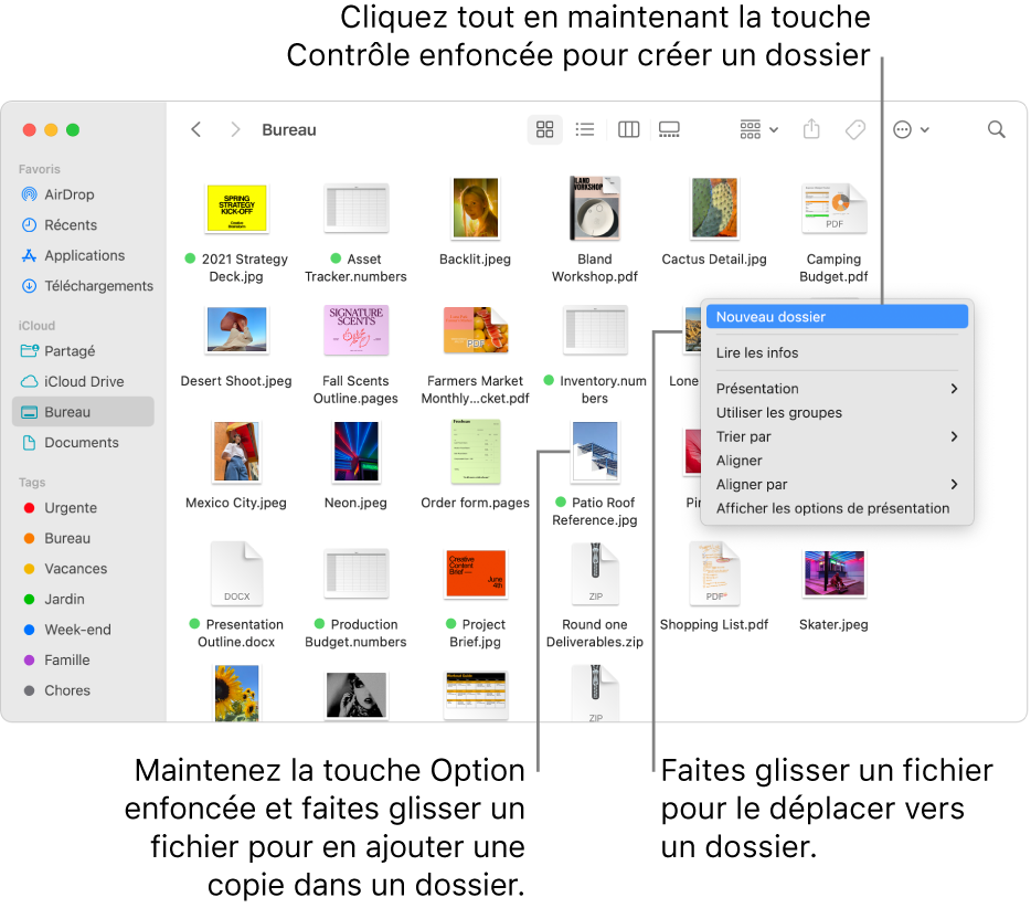 Organiser les fichiers dans des dossiers sur Mac - Assistance Apple (FR)