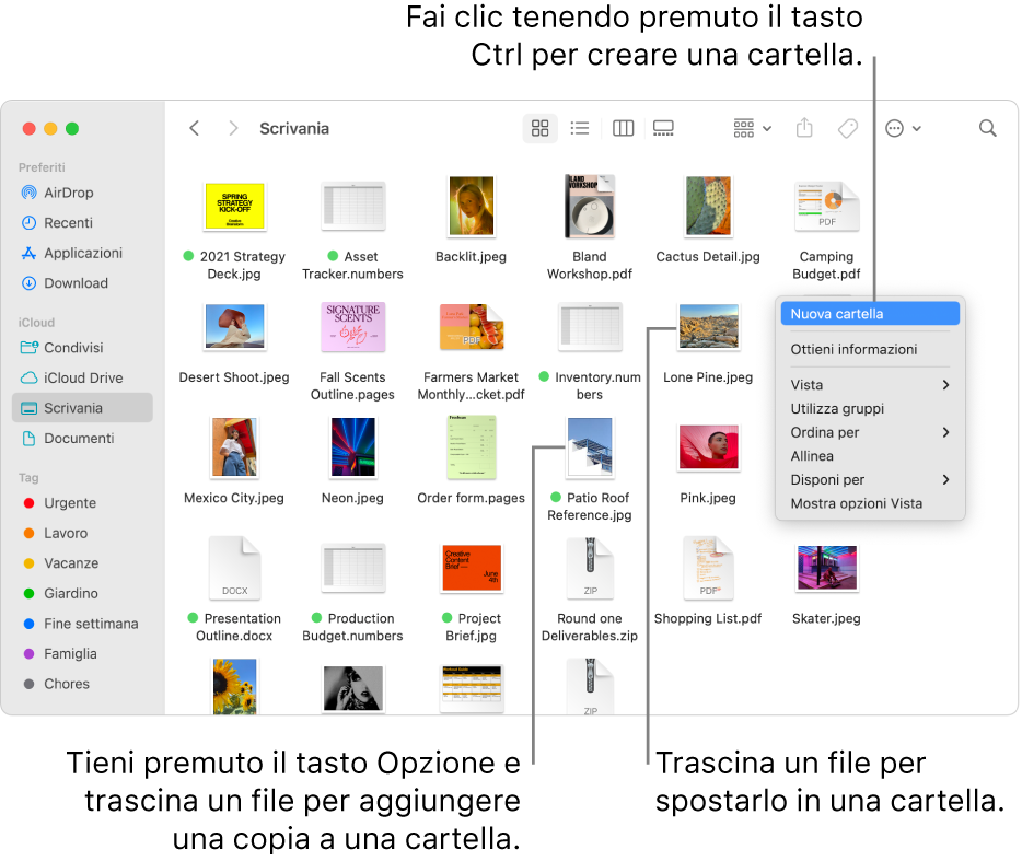 Organizzare i file in cartelle sul Mac - Supporto Apple (IT)