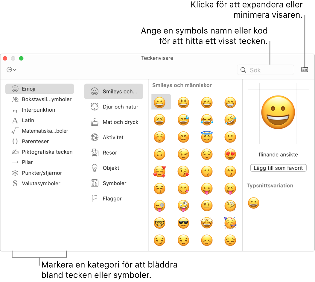 Använda Emoji och symboler på datorn - Apple-support (SE)