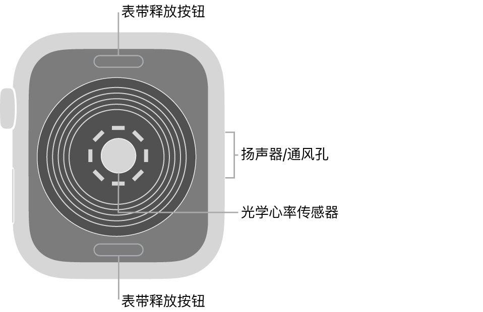 Apple Watch - 官方 Apple 支持 (中国)