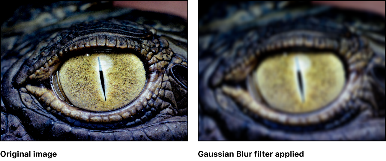Gaussian Blur Filter In Motion Apple Support Gaussian Blur Filter In Motion Apple Support