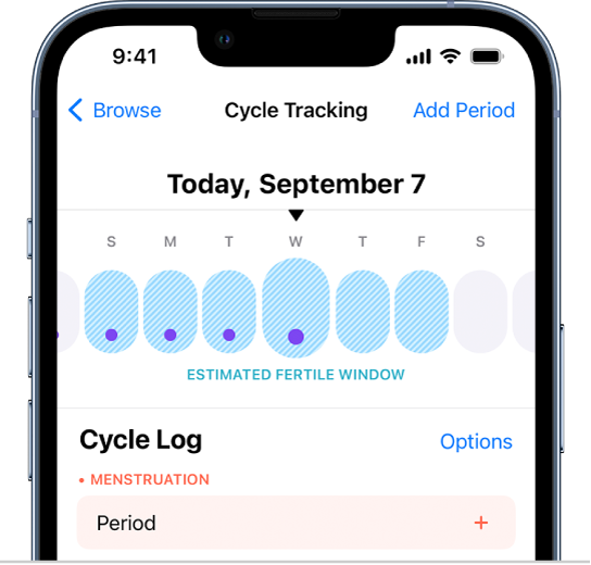 View menstrual cycle predictions and history in Health on iPhone ...