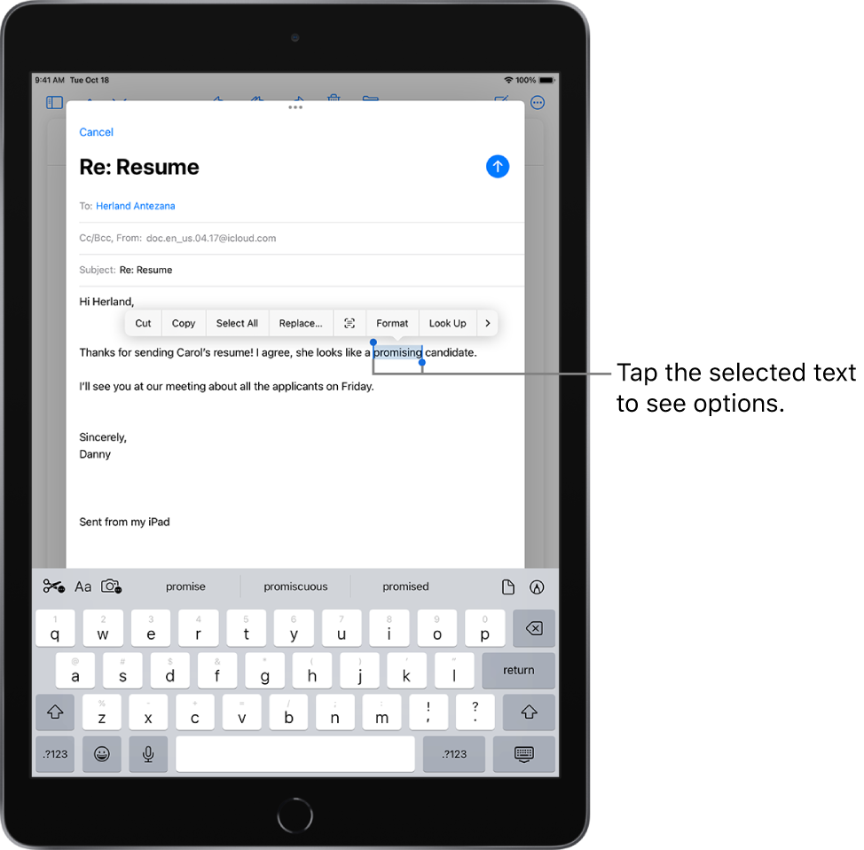 Select, cut, copy, and paste text on iPad - Apple Support