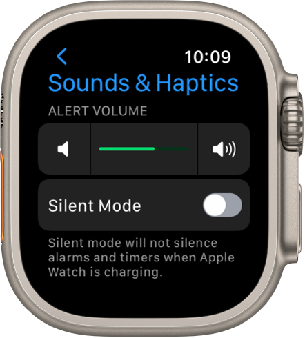 Adjust brightness, text size, sounds, and haptics on Apple Watch Ultra ...