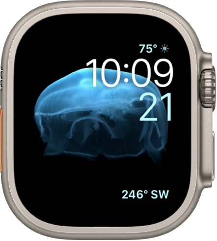 Apple Watch Ultra faces and their features - Apple Support