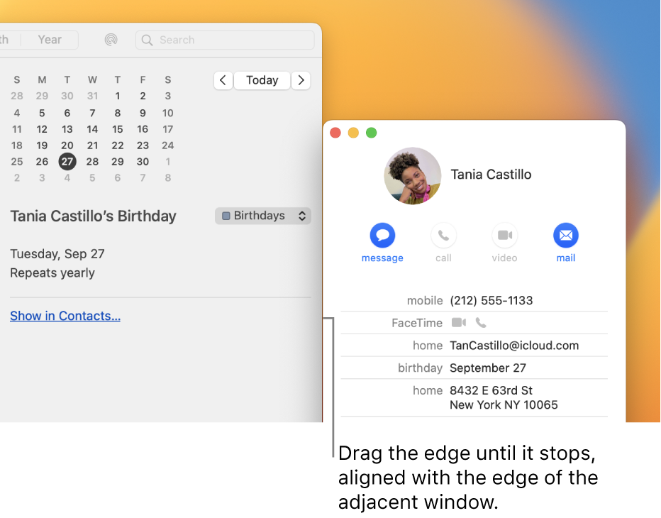 Manage app windows on Mac - Apple Support