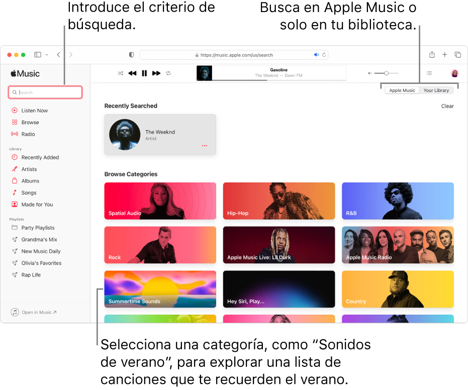 Buscar música en Apple Music en la web - Soporte técnico de Apple (ES)