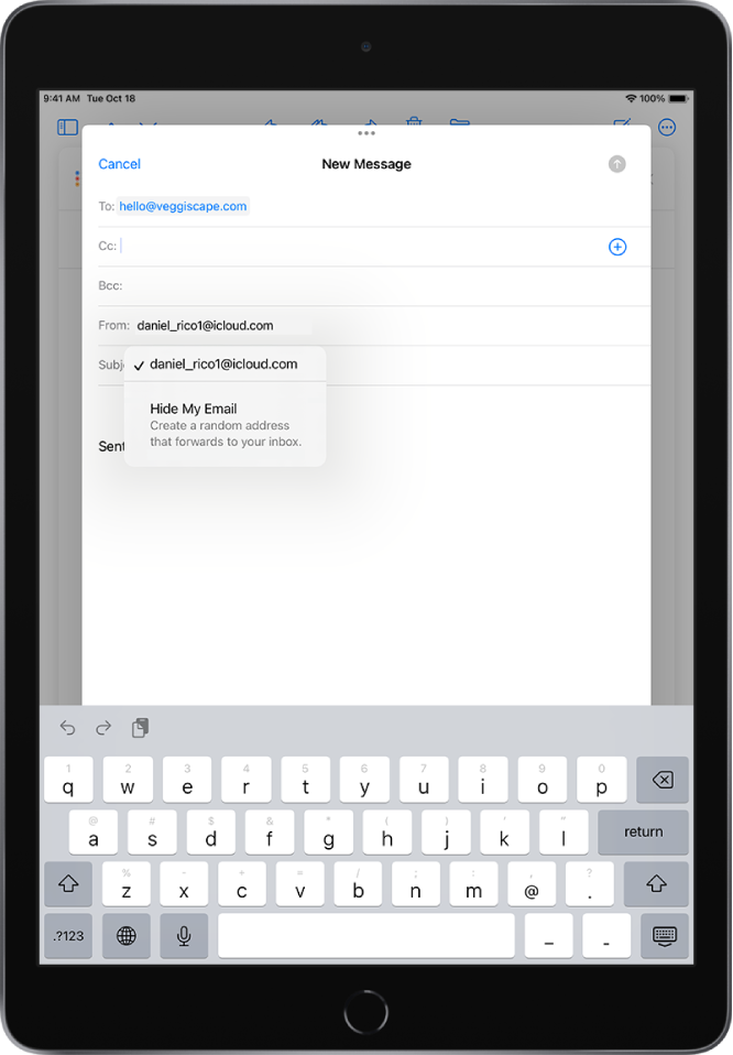 Use Hide My Email in Mail on iPad - Apple Support