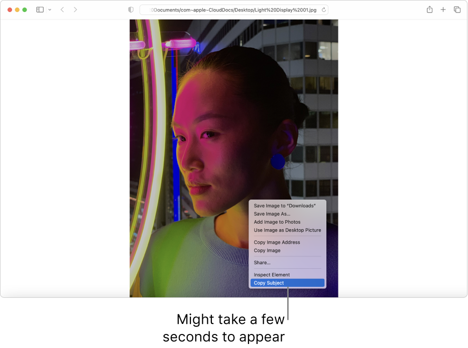 Isolate and copy a photo’s subject in Safari on Mac - Apple Support