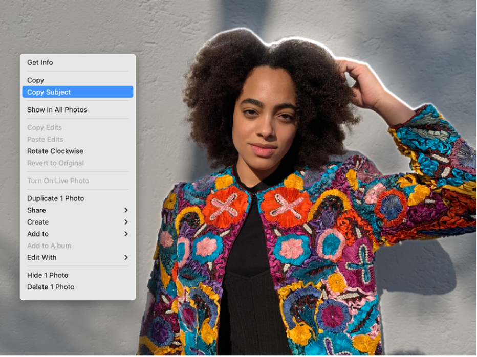 Isolate and copy a photo’s subject in Photos on Mac – Apple Support (UK)