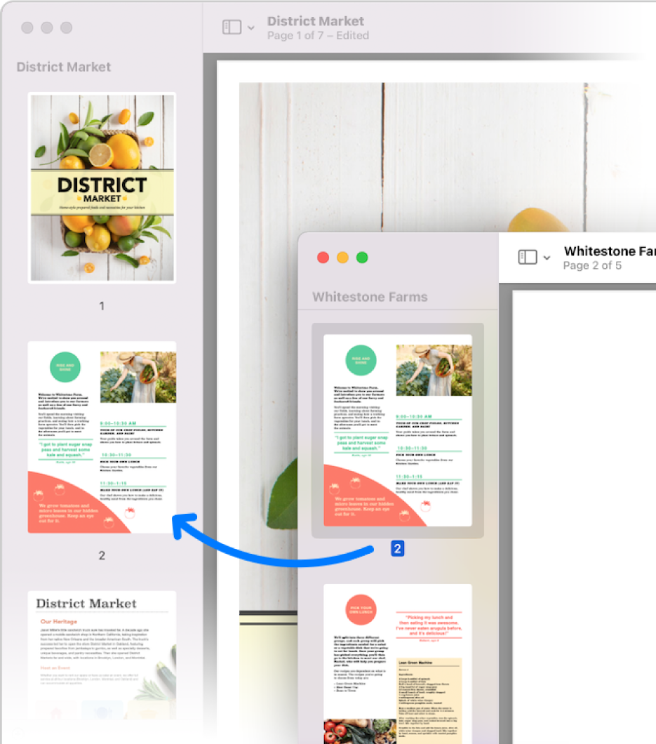 Preview User Guide for Mac - Apple Support (IN)