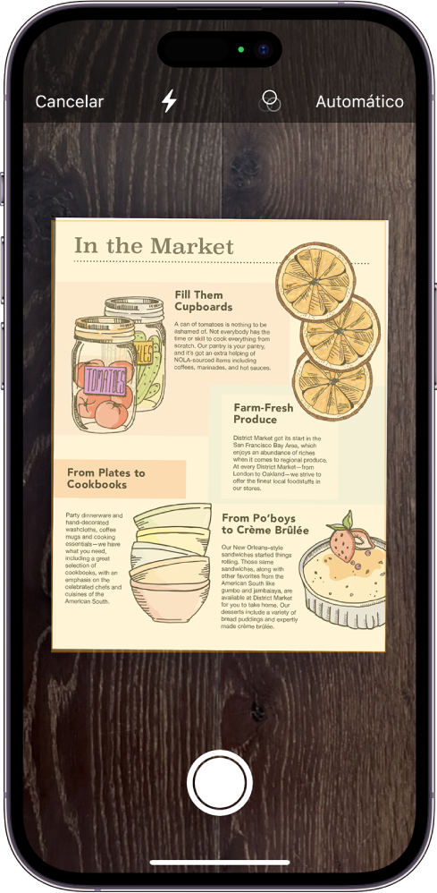 Introducción a Notas en el iPhone - Soporte técnico de Apple (ES)