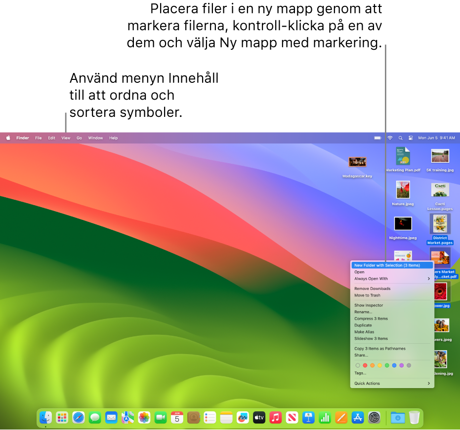 Sätt att ordna filer på datorns skrivbord - Apple-support (SE)