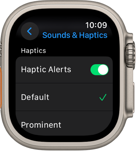Adjust brightness, text size, sounds, and haptics on Apple Watch Ultra ...