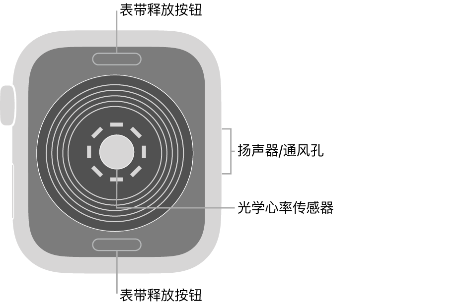 Apple Watch - Apple Support (SG)