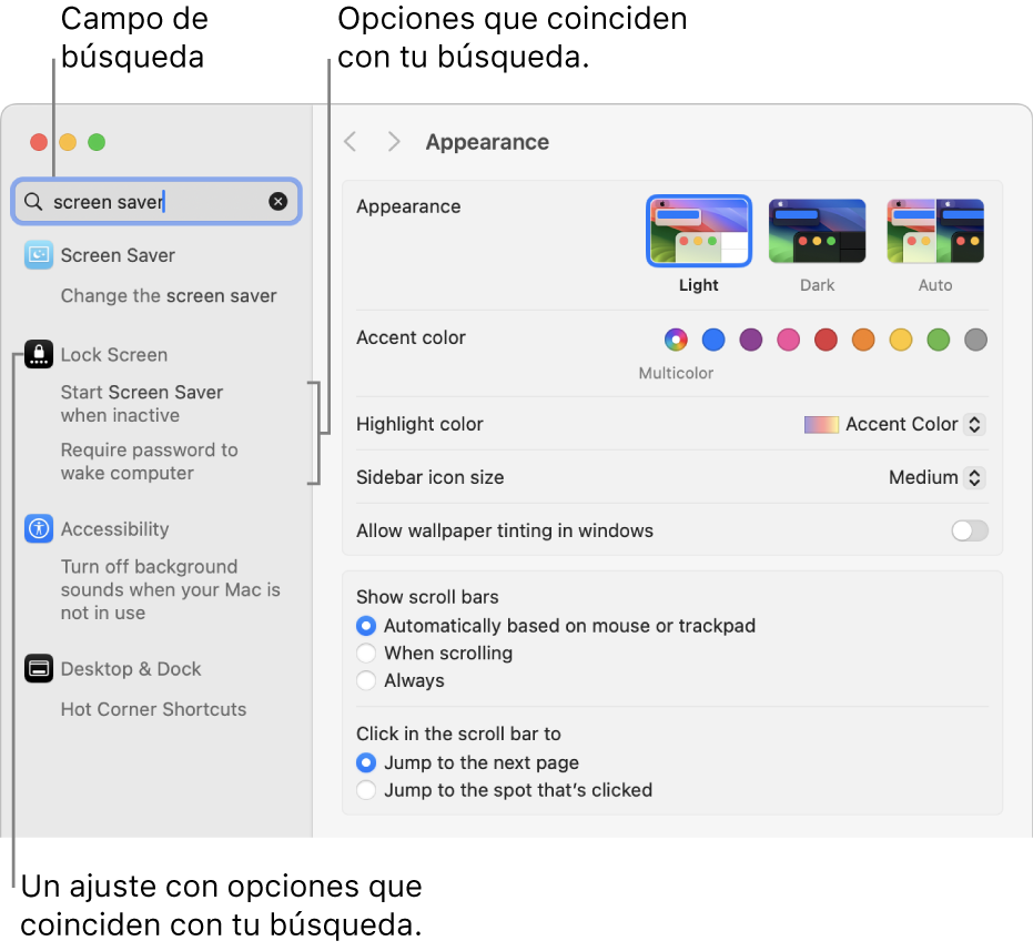 Buscar opciones en los Ajustes del Sistema en el Mac - Soporte técnico ...