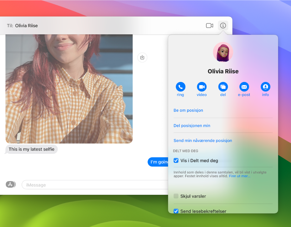 Brukerveiledning for Meldinger for Mac - Apple-kundestøtte (NO)