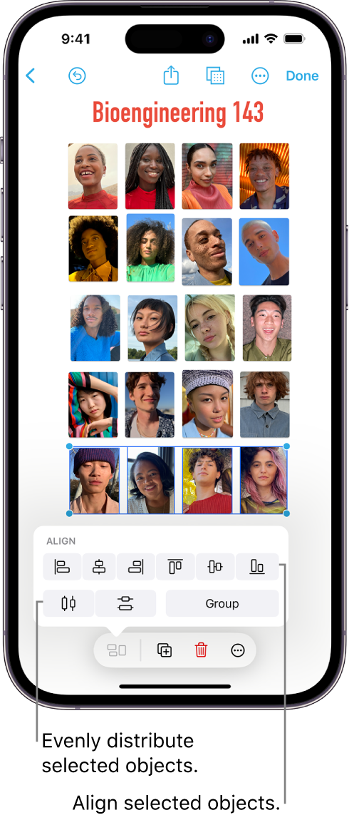 Position items on a Freeform board on iPhone – Apple Support (AU)