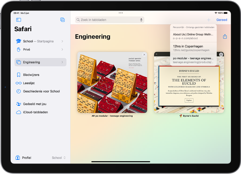Tabbladen openen en sluiten in Safari op de iPad - Apple Support (BE)