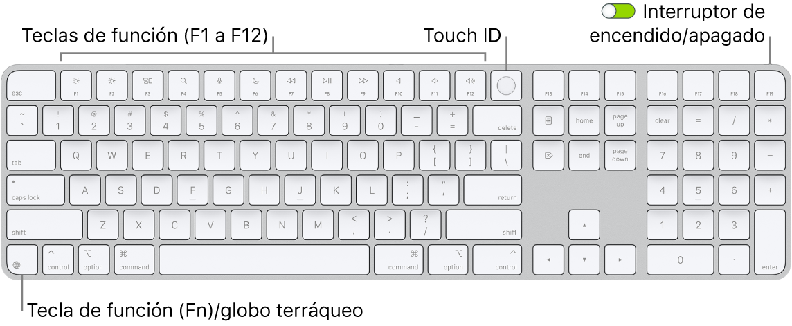 Magic Keyboard con Touch ID - Soporte técnico de Apple