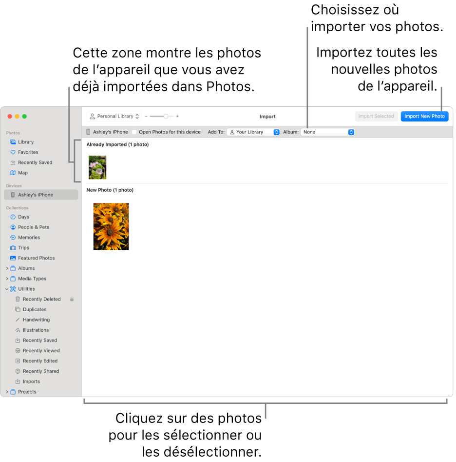 Importer des photos à partir d’un appareil photo ou d’un téléphone dans ...