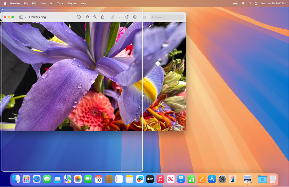 Macでウインドウをタイル表示する - Apple サポート (日本)