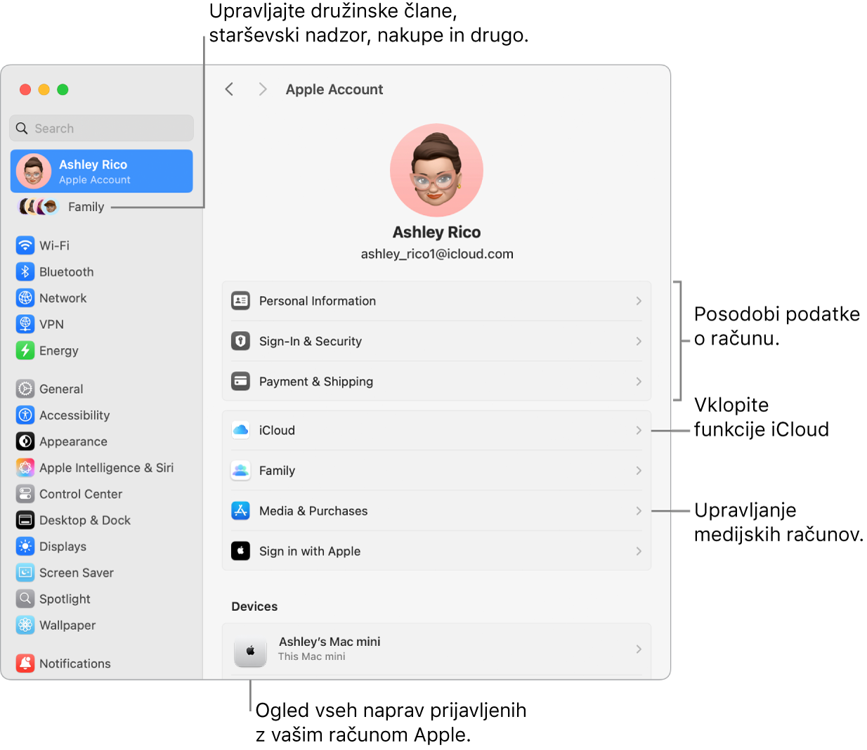 Nastavitve računa Apple v System Settings z oblački za posodobitev informacij o računu, vklop ali izklop funkcij iCloud, upravljanje predstavnostnih računov in Family, kjer lahko upravljate družinske člane, starševski nadzor, nakupe in več.