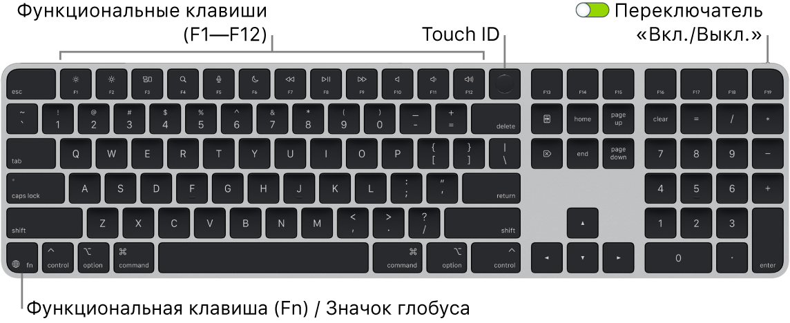 Клавиатура Magic Keyboard с сенсором Touch ID и цифровой клавишной панелью. Показаны функциональные клавиши, сенсор Touch ID вверху и клавиша Function (Fn)/клавиша с изображением глобуса внизу слева.