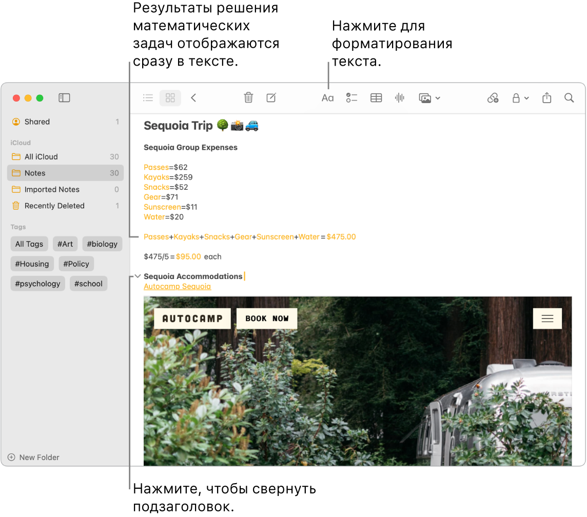 В окне приложения «Заметки» показаны расчеты затрат на лагерь Sequoia Camp, текстовая ссылка на сайт и картинка с вариантами размещений.
