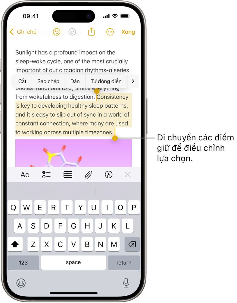 Cước chú là gì? Ý nghĩa và các loại cước chú trong sách và văn bản