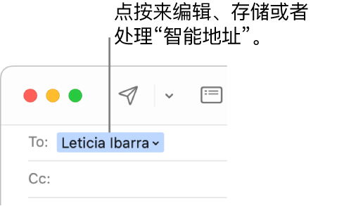 带有箭头的智能地址，你可以点按该箭头来编辑、存储或使用“智能地址”。