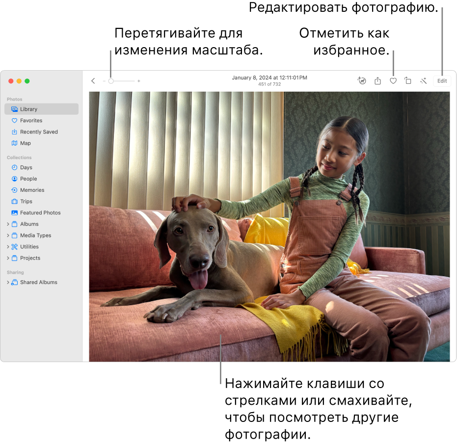 Окно приложения «Фото». Справа отображается увеличенное фото. Вверху находится панель инструментов со следующими элементами: бегунок масштабирования, кнопка «Добавить в Избранное» и кнопка «Изменить».