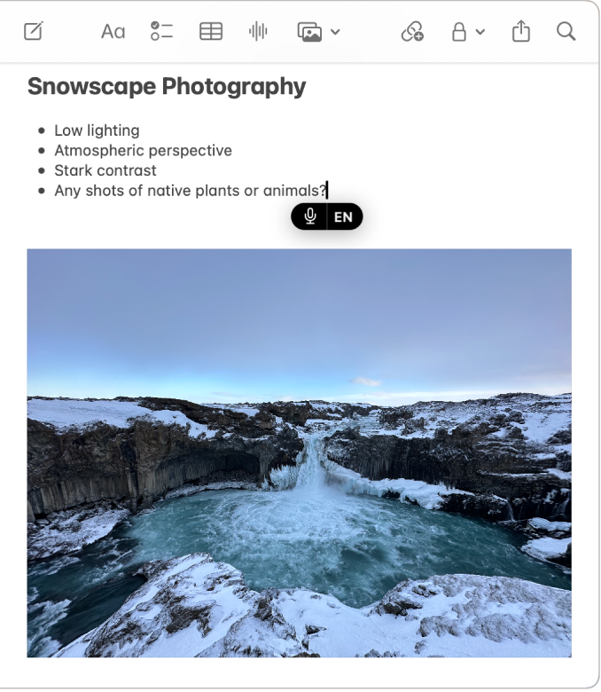 Dicter des messages et des documents sur Mac - Assistance Apple (FR)