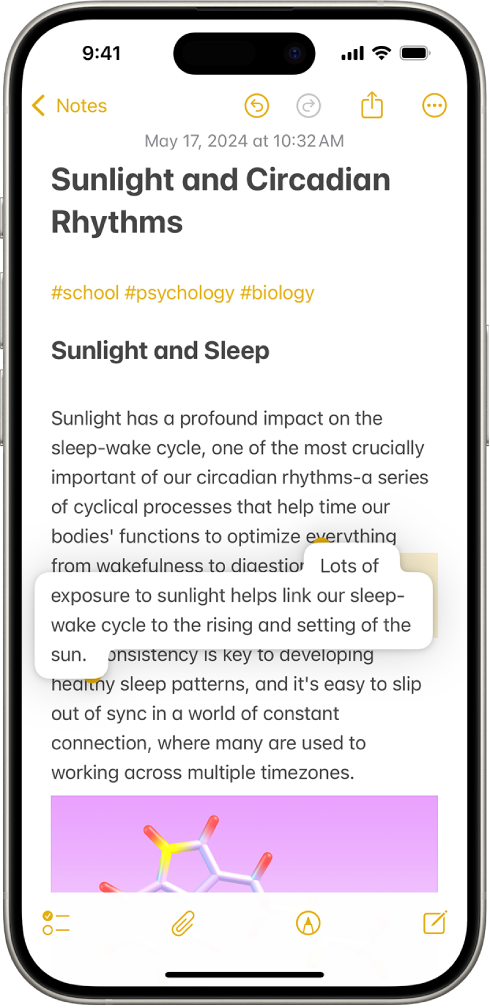 Type with the onscreen keyboard on iPhone - Apple Support