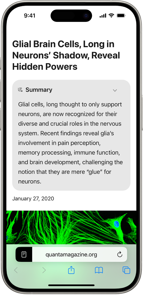 Get webpage summaries with Apple Intelligence on iPhone - Apple Support ...