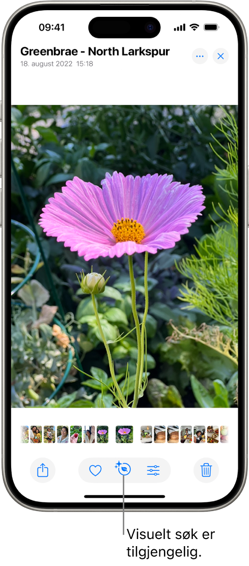 Bruk Visuelt søk til å identifisere objekter i bildene og videoene dine ...