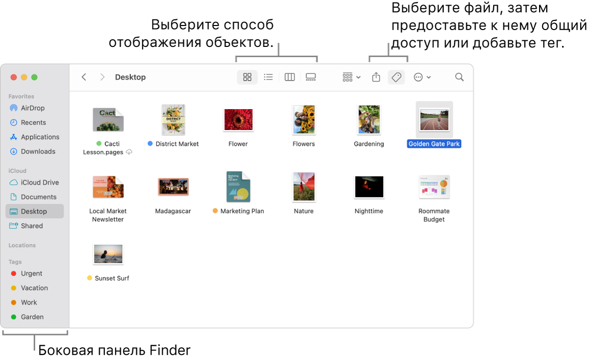 Окно Finder: слева находится боковое меню Finder. Вверху окна расположены четыре кнопки, которые позволяют выбрать способ отображения объектов в окне, а также дополнительные кнопки для упорядочивания объектов и предоставления доступа.